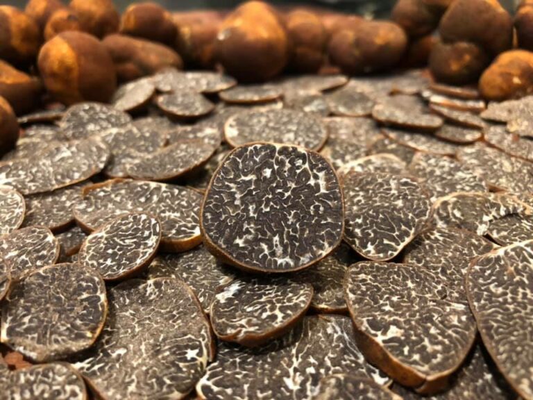 Truffière de la Mauricie | Culture Truffe Québec | La Filière Mauricie